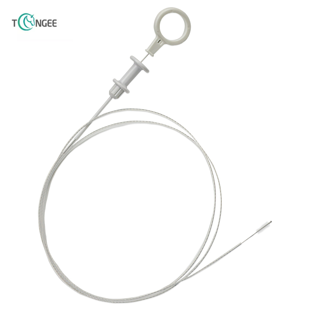 What Is Endoscopic Cytology Or Microbiology Brushes?