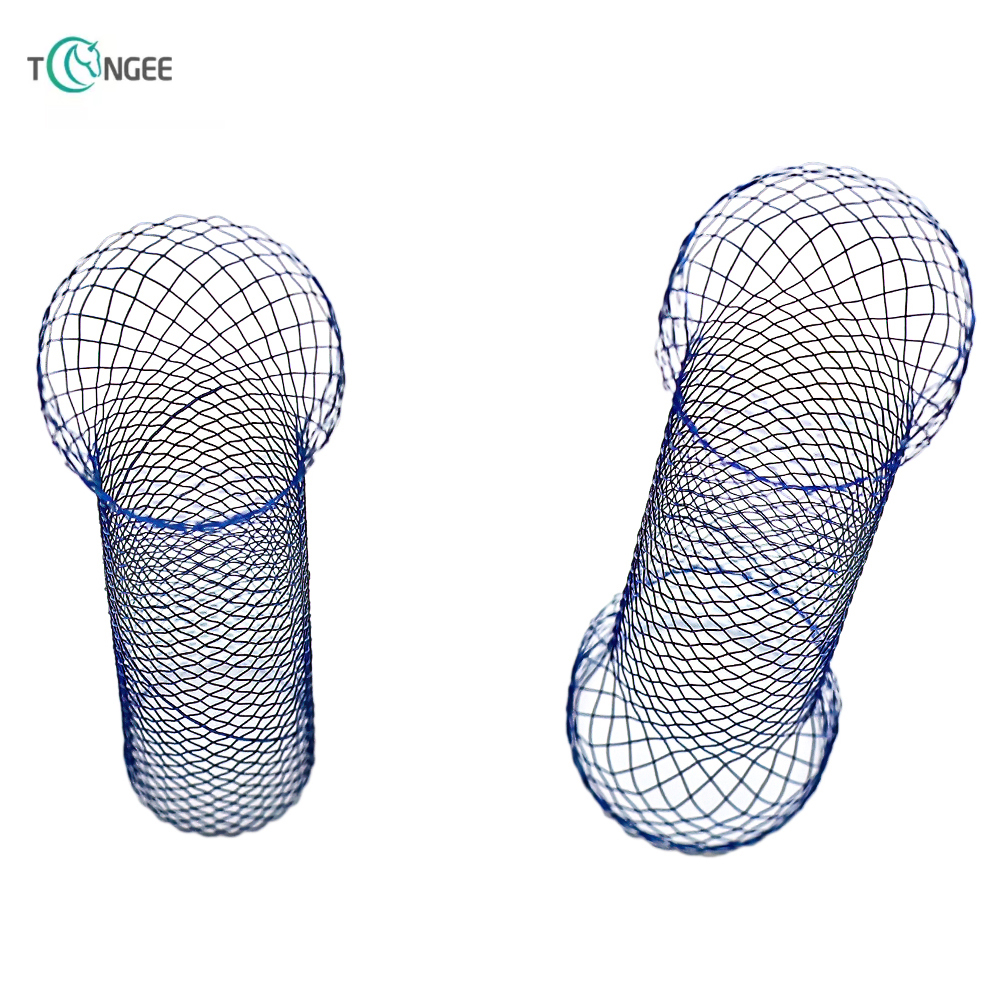 What is a fully covered oesophageal stent?